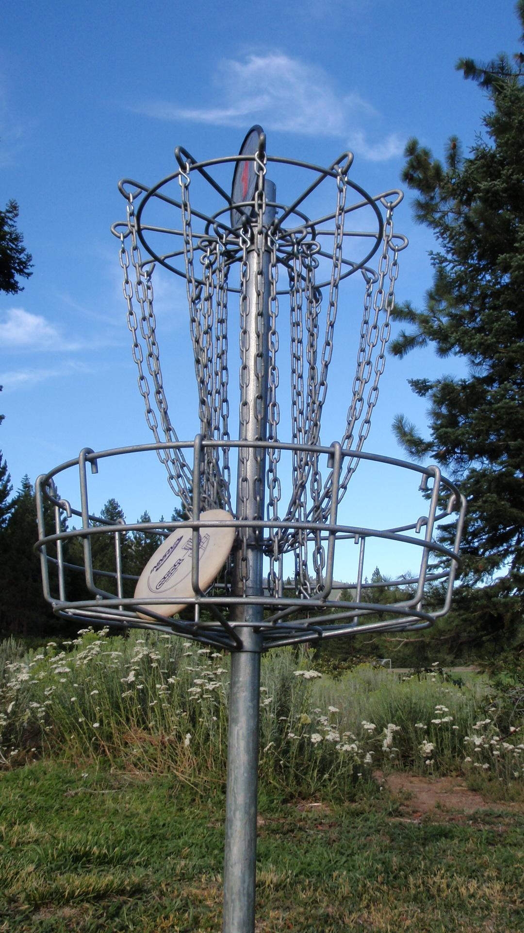 Let’s Go Disc Golfing in Lake Tahoe – Tahoe Dave's